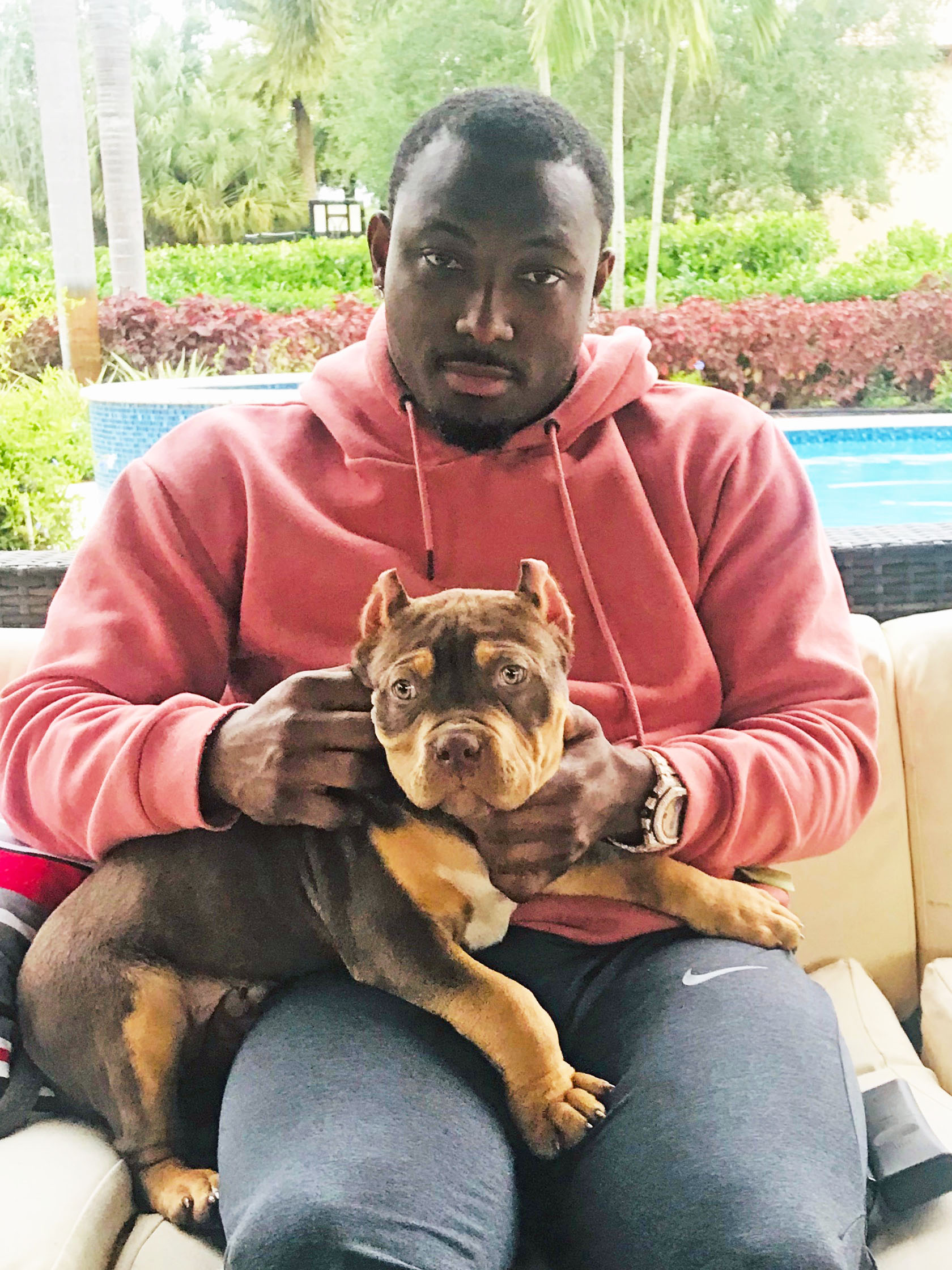 XXL Blue Pitbulls Biggest Pitbull Puppies Kennel